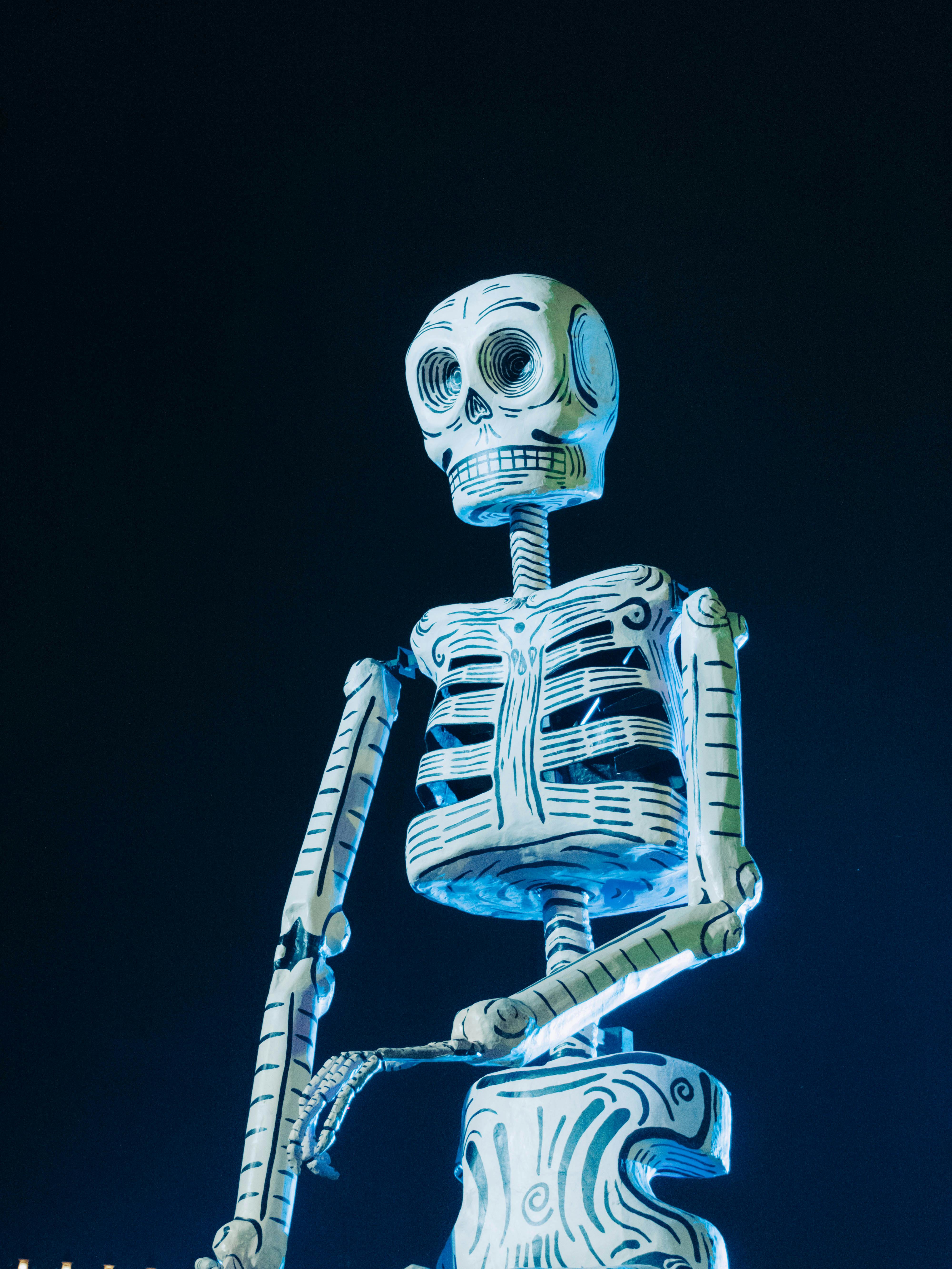 Skeleton Meme Wallpapers - Wallpaper Cave