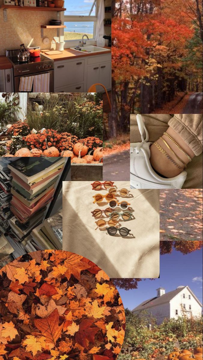 Autumn Aesthetic PFP Wallpapers - Wallpaper Cave