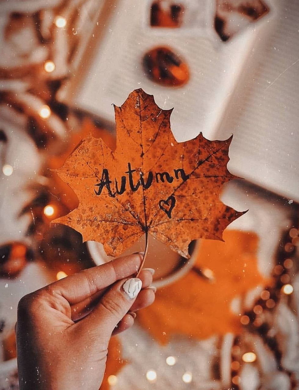Autumn Aesthetic PFP Wallpapers - Wallpaper Cave