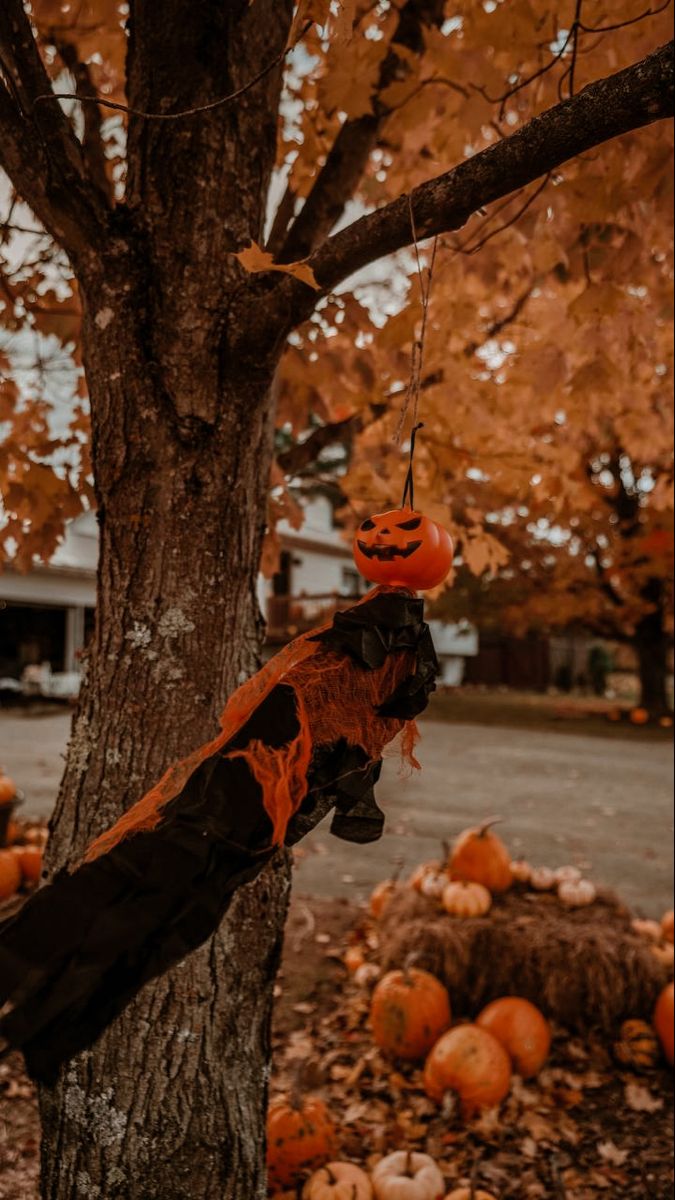 Autumn Aesthetic PFP Wallpapers - Wallpaper Cave