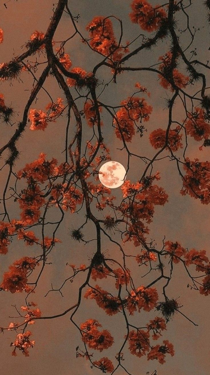 Autumn Aesthetic PFP Wallpapers - Wallpaper Cave