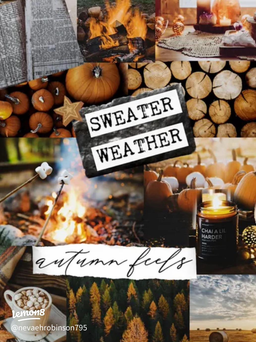 Autumn Aesthetic PFP Wallpapers - Wallpaper Cave