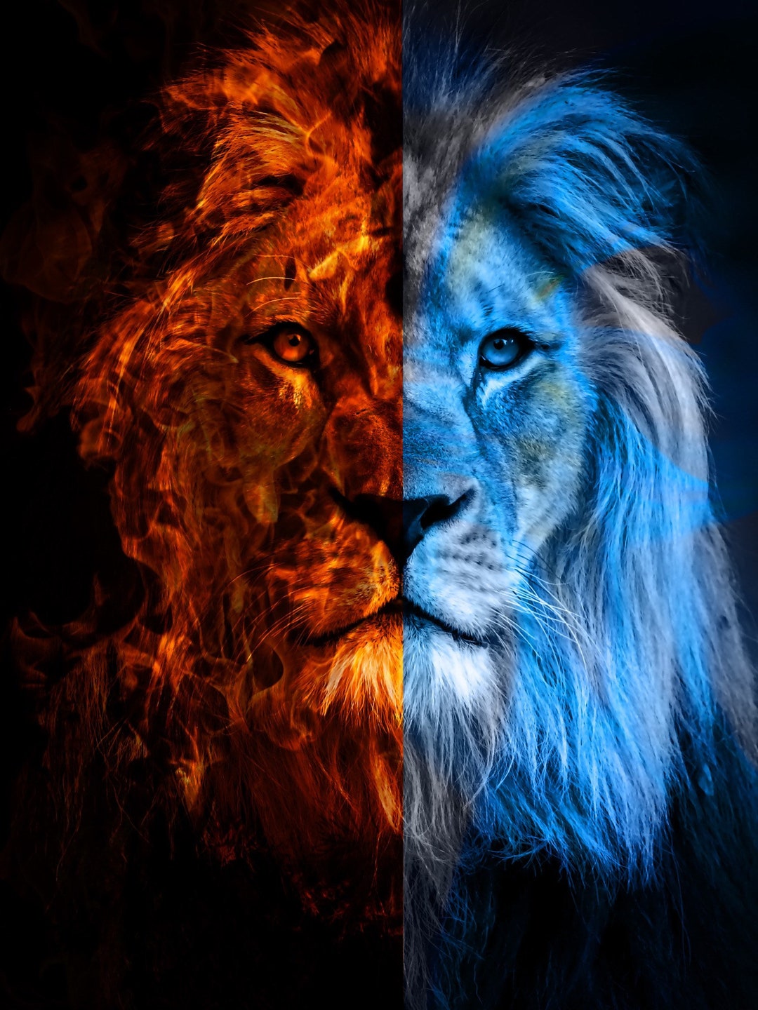 Fire And Ice Lions Wallpapers - Wallpaper Cave
