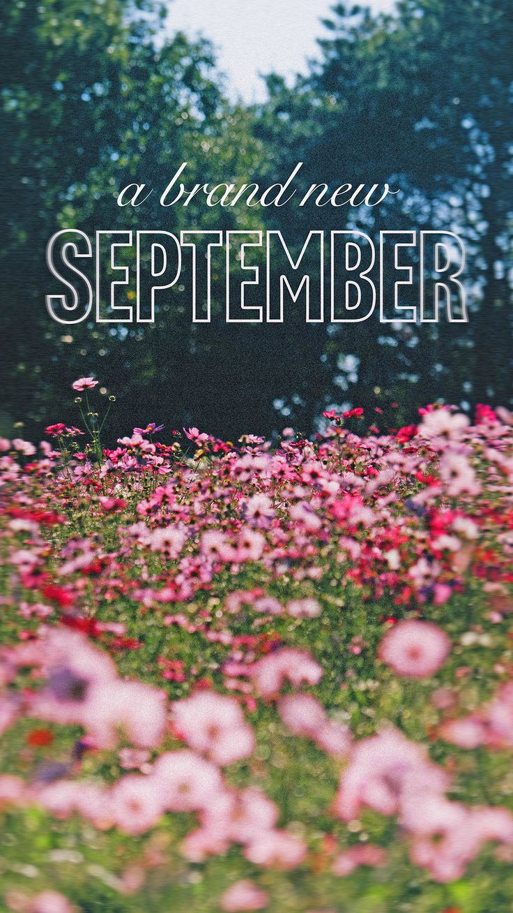 Welcome September Wallpapers - Wallpaper Cave