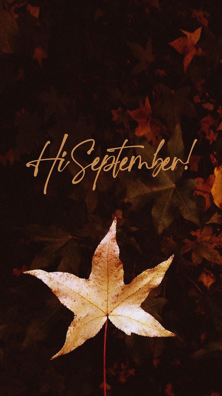 Welcome September Wallpapers - Wallpaper Cave
