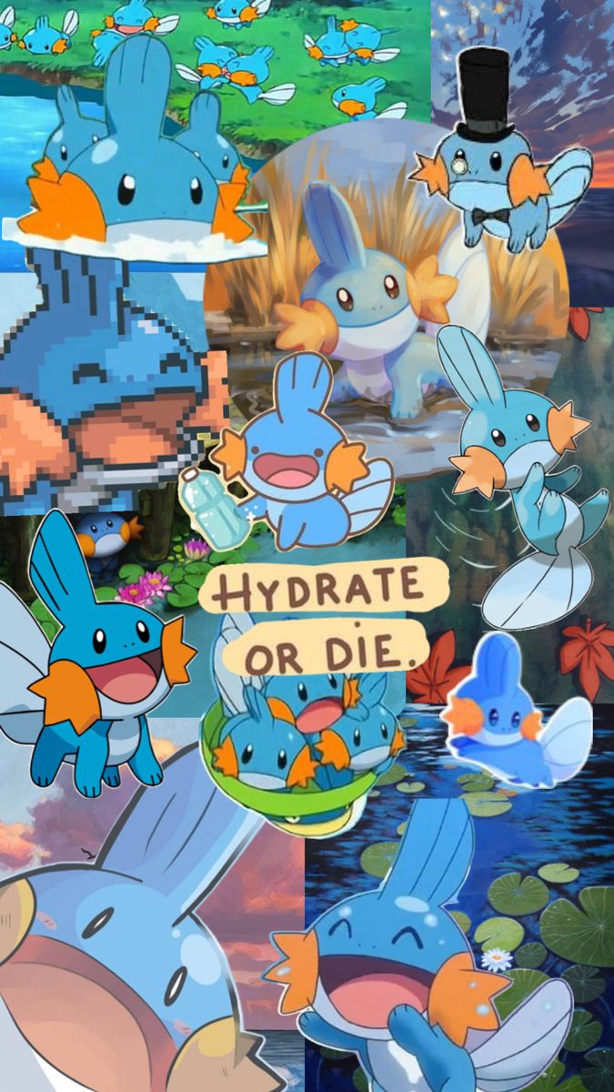 Pokémon Mudkip Wallpapers - Wallpaper Cave