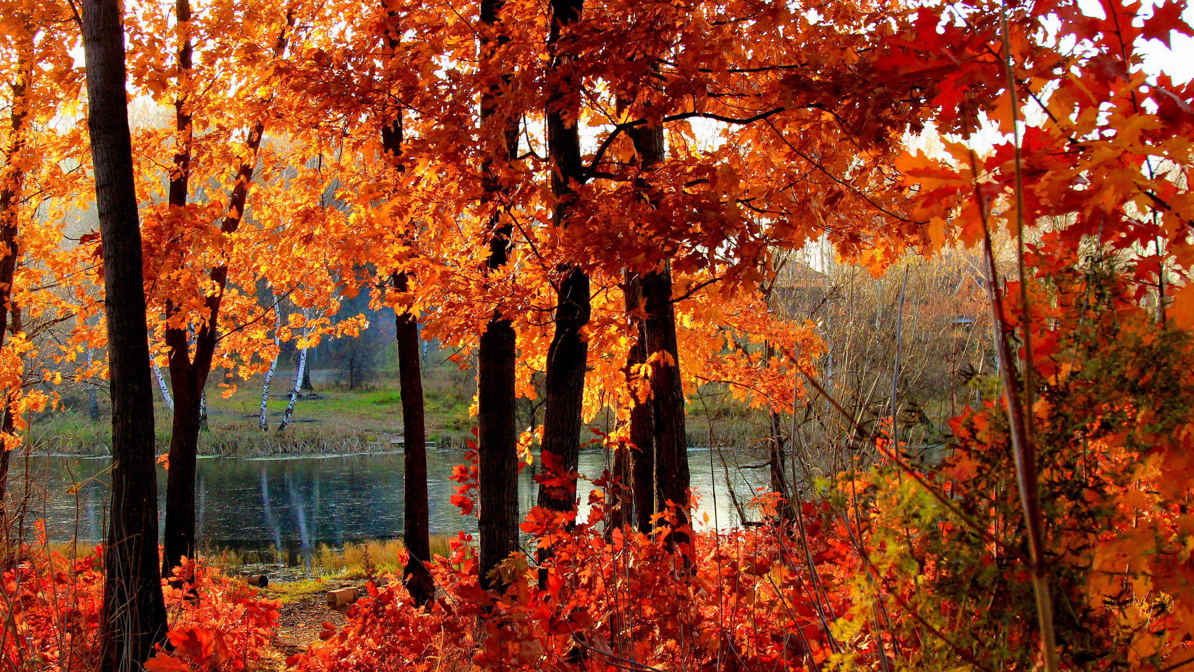 Autumn Desktop HD Wallpapers - Wallpaper Cave