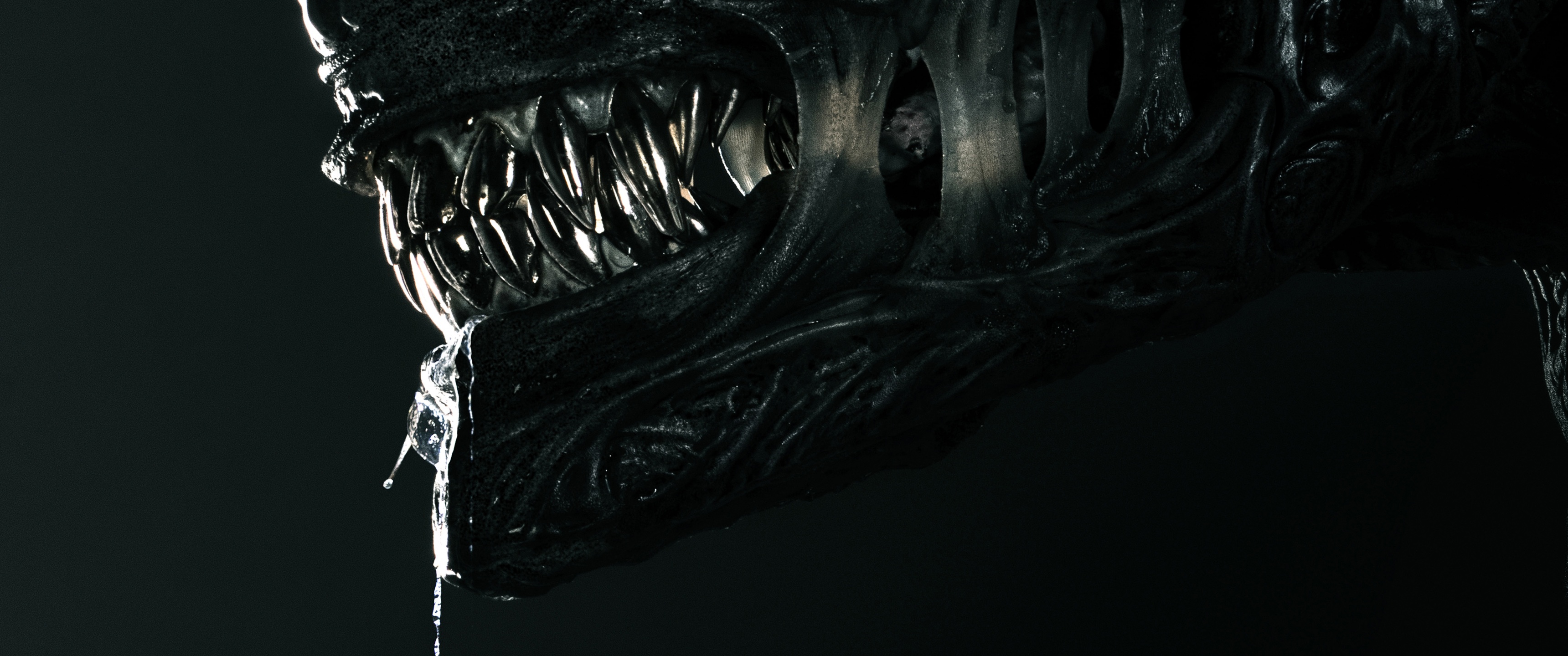 4k Desktop Horror Movies Wallpapers - Wallpaper Cave