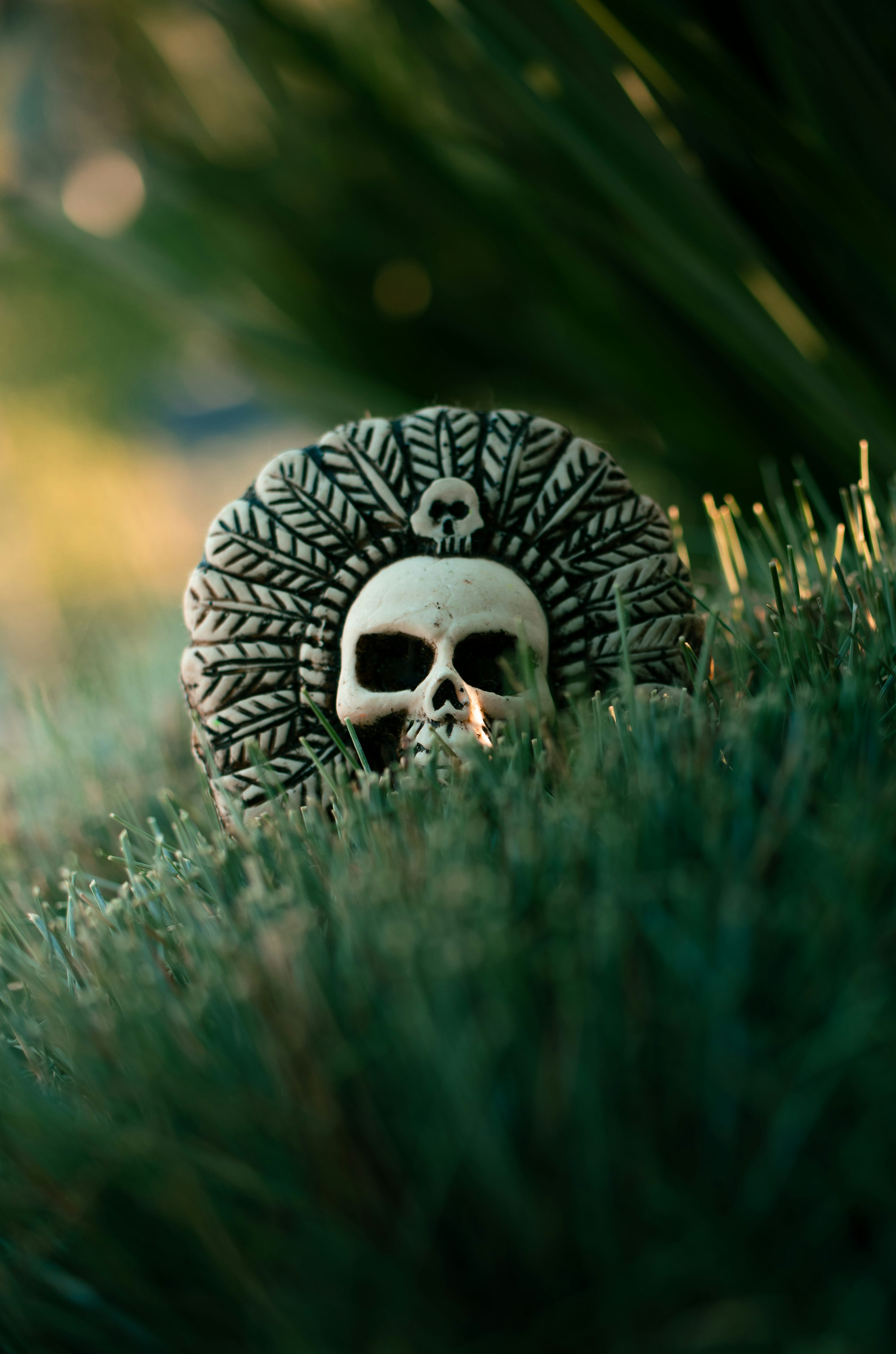 A Grassy Skull Wallpapers - Wallpaper Cave
