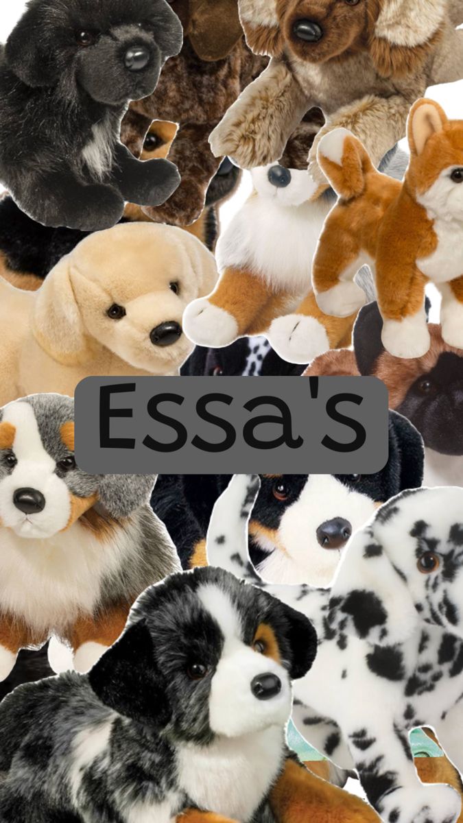 ESSA Dog Wallpapers - Wallpaper Cave