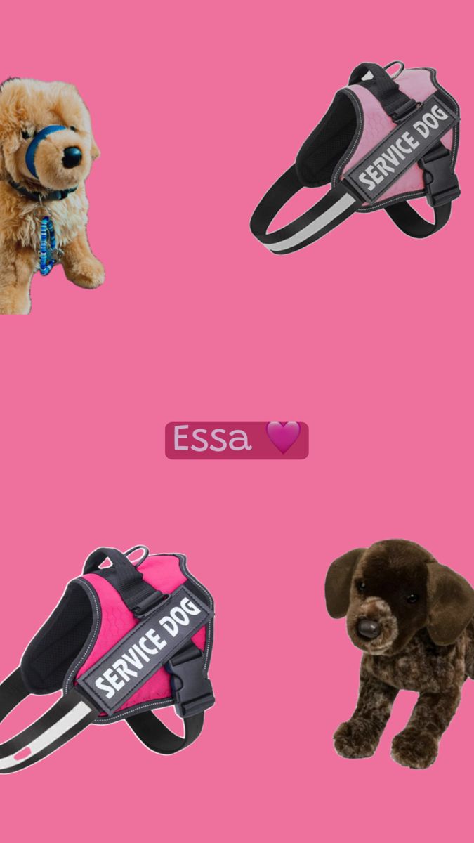 ESSA Dog Wallpapers - Wallpaper Cave