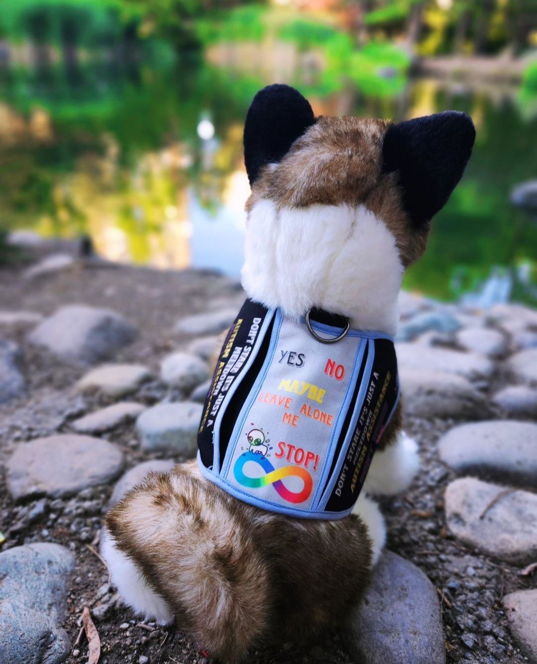 ESSA Dog Wallpapers - Wallpaper Cave