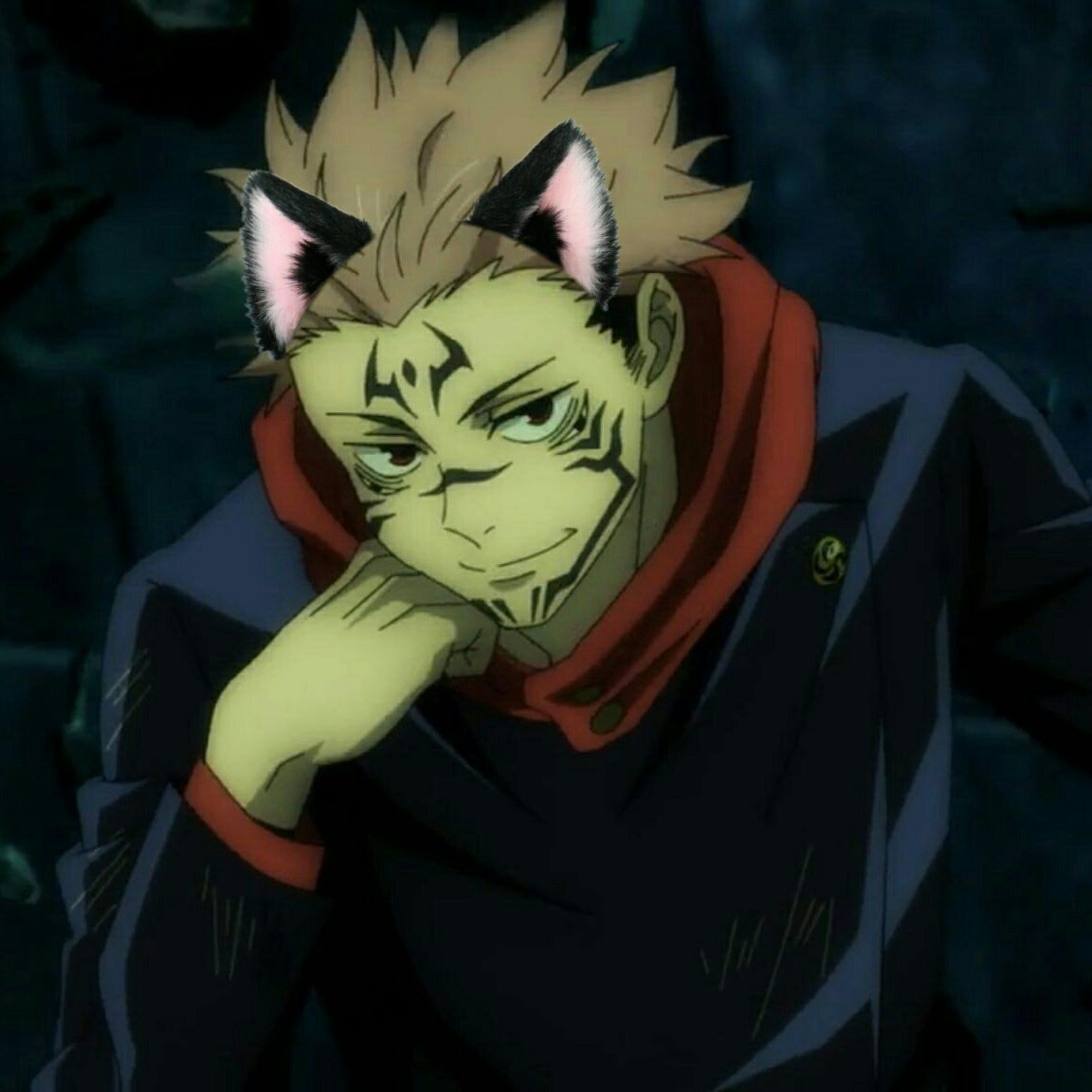 Sukuna Cat Wallpapers - Wallpaper Cave