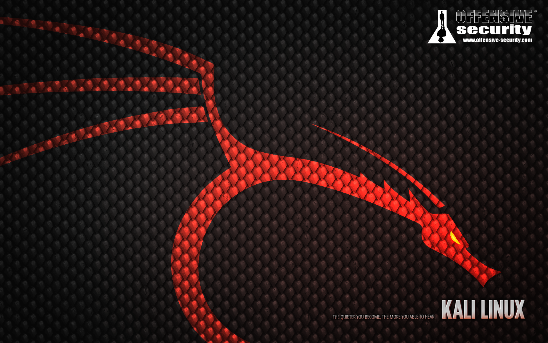 Kali Linux Black Wallpapers - Wallpaper Cave