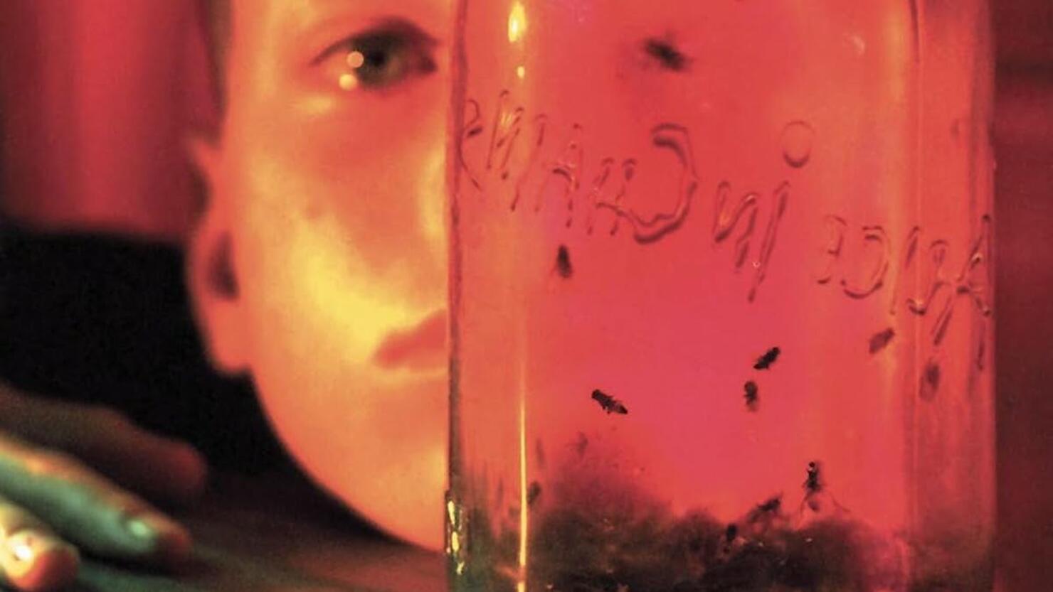 Jar Of Flies Wallpapers - Wallpaper Cave