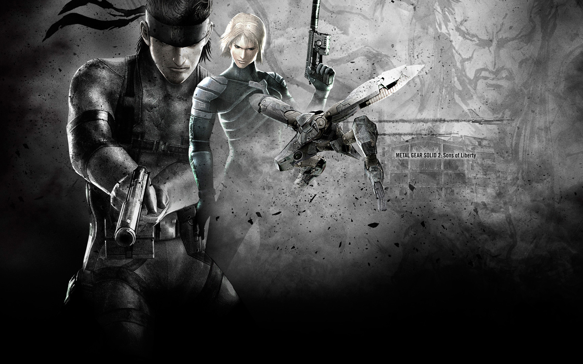 MGS2 Desktop Wallpapers - Wallpaper Cave