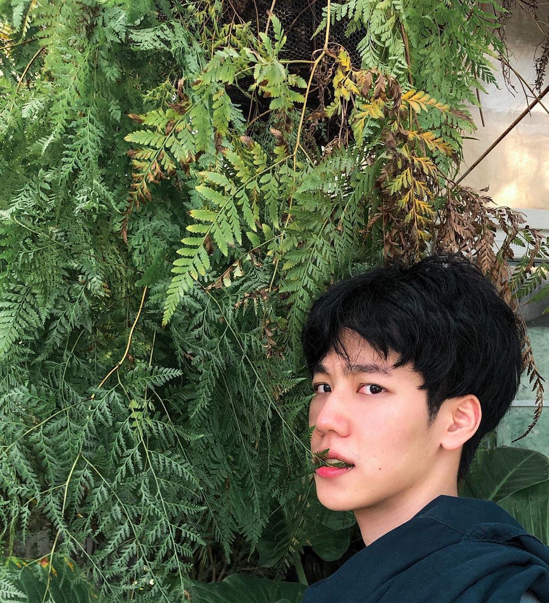 War Wanarat Wallpapers - Wallpaper Cave