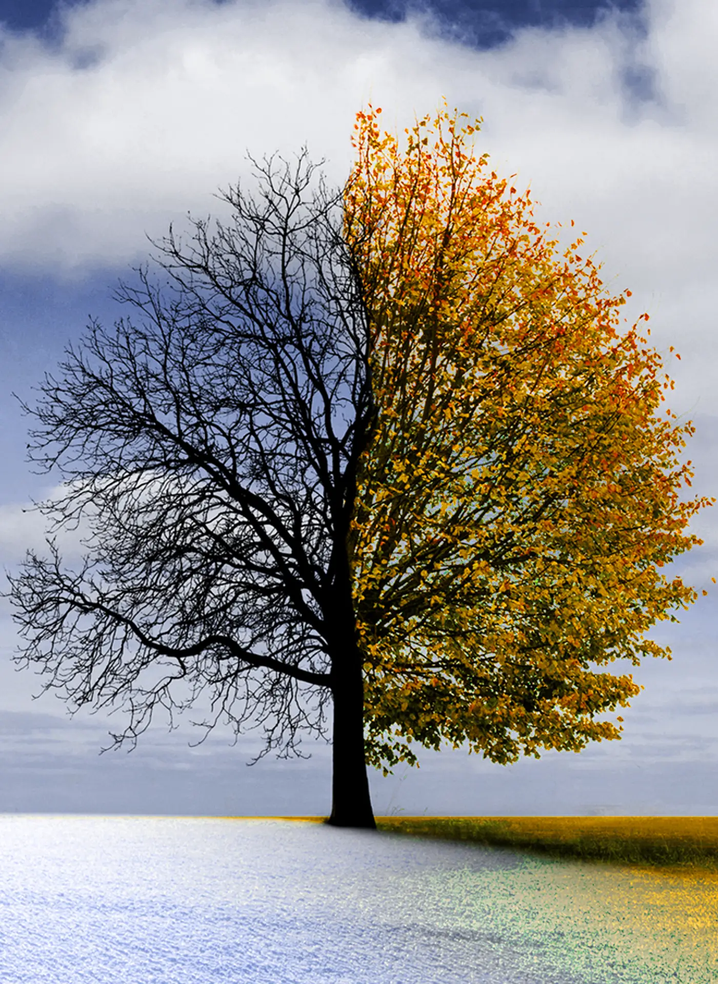 Half Winter Half Summer Hd Wallpapers - Wallpaper Cave