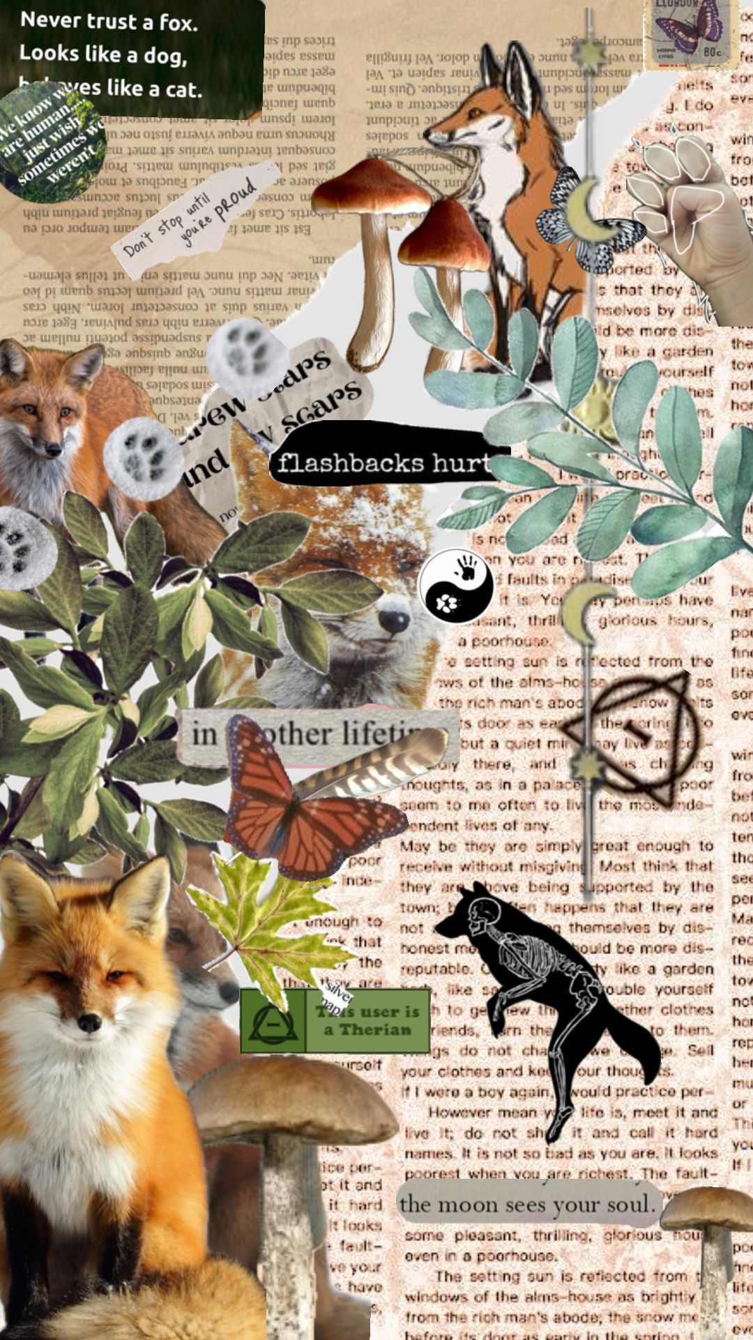 Therian Red Fox Wallpapers - Wallpaper Cave