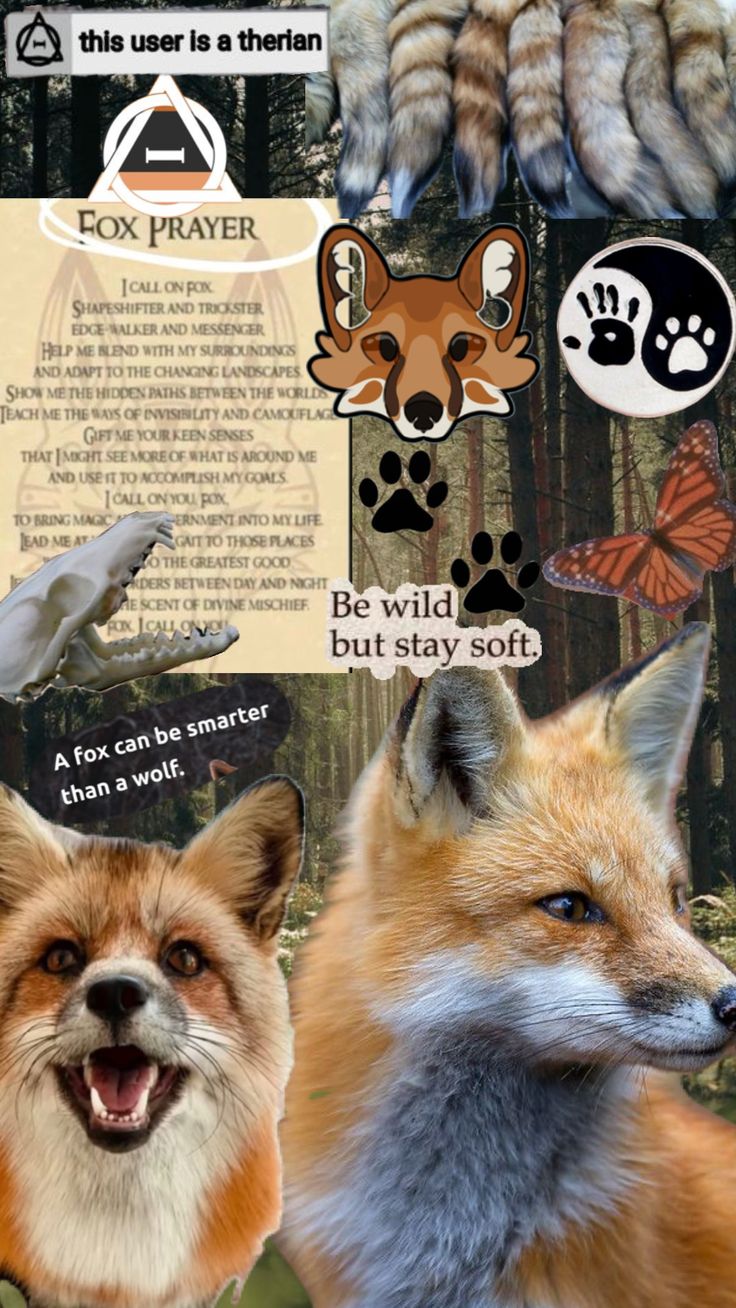 Therian Red Fox Wallpapers - Wallpaper Cave