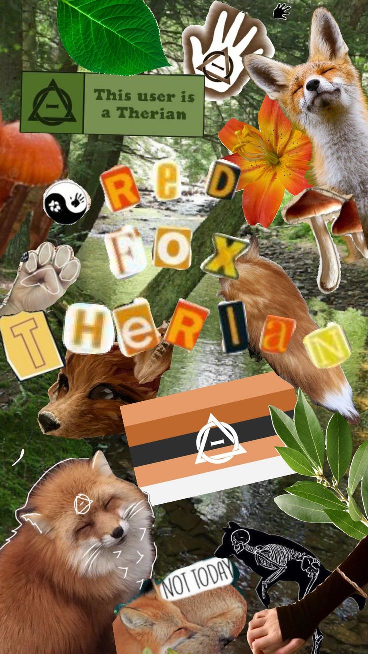 Therian Red Fox Wallpapers - Wallpaper Cave