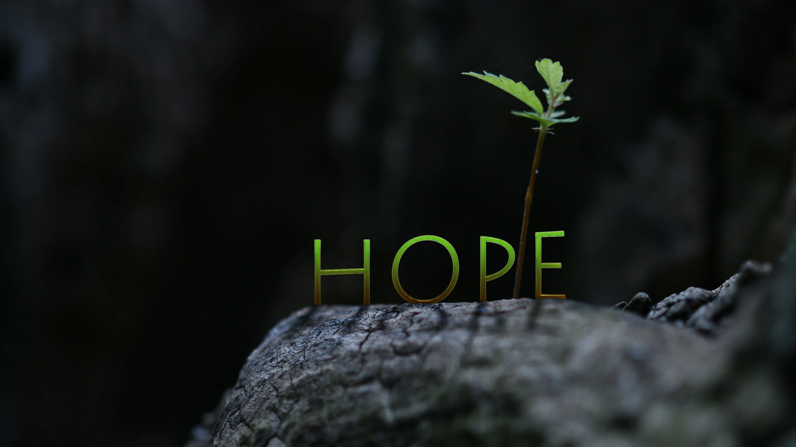 Written Hope Wallpapers - Wallpaper Cave