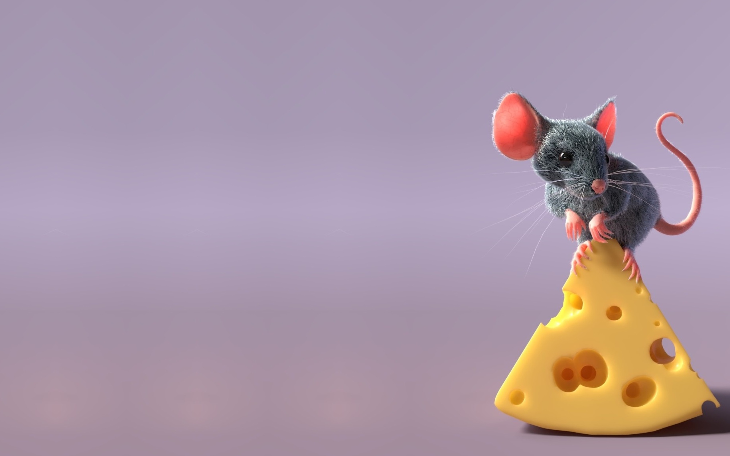Crazy Mouse Desktop Wallpapers