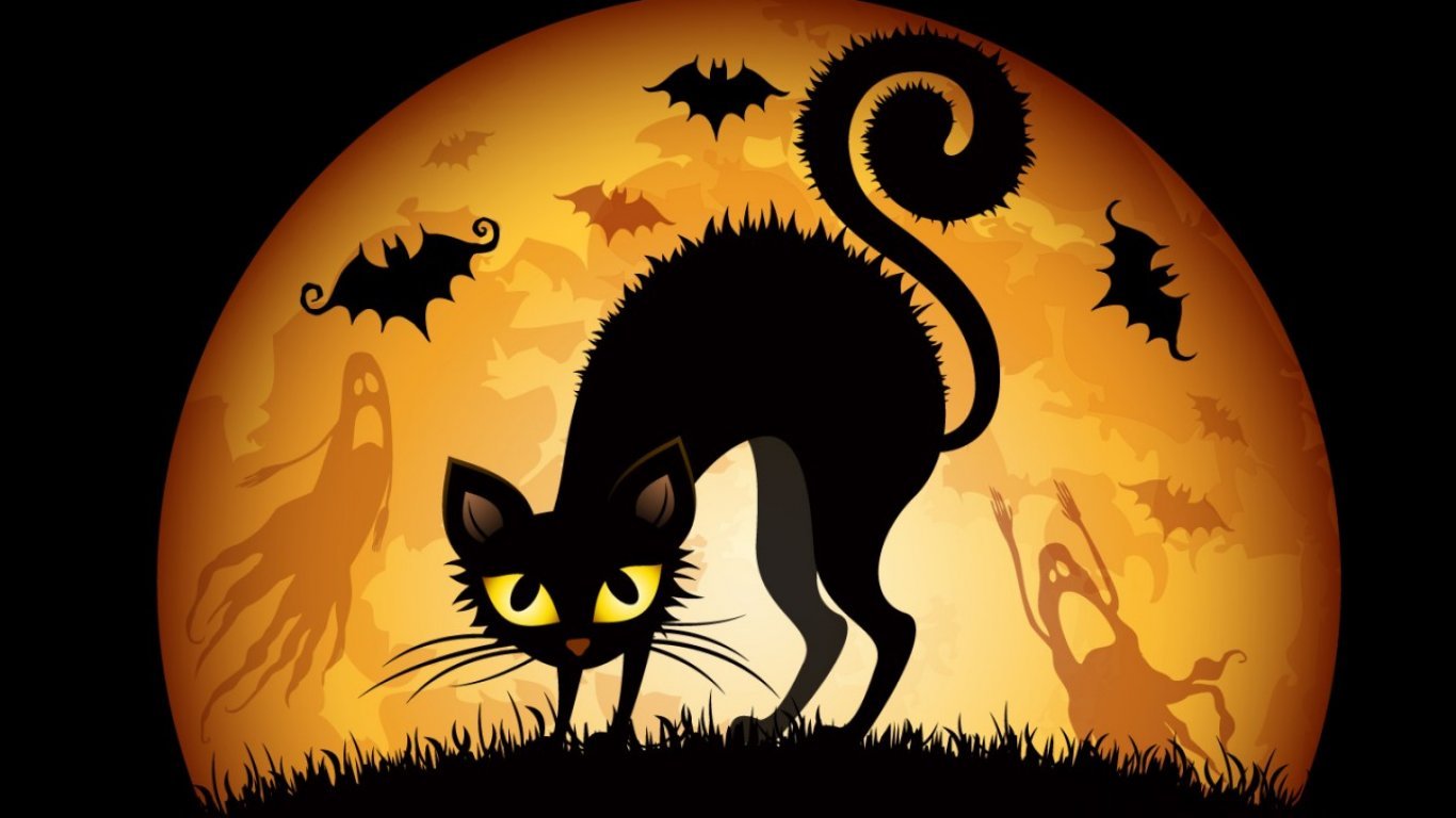 Halloween Orange Cat Wallpapers - Wallpaper Cave