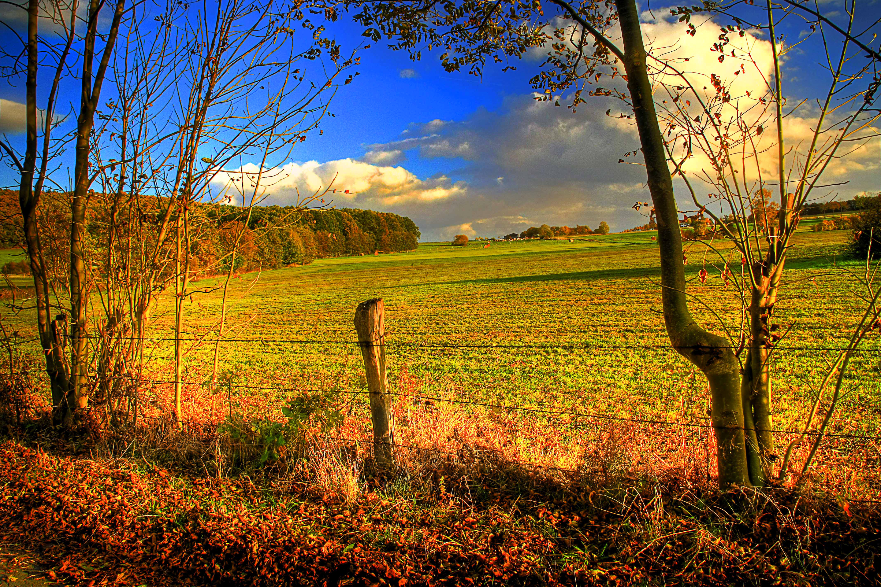 Autumn 2880x1920 Wallpapers - Wallpaper Cave