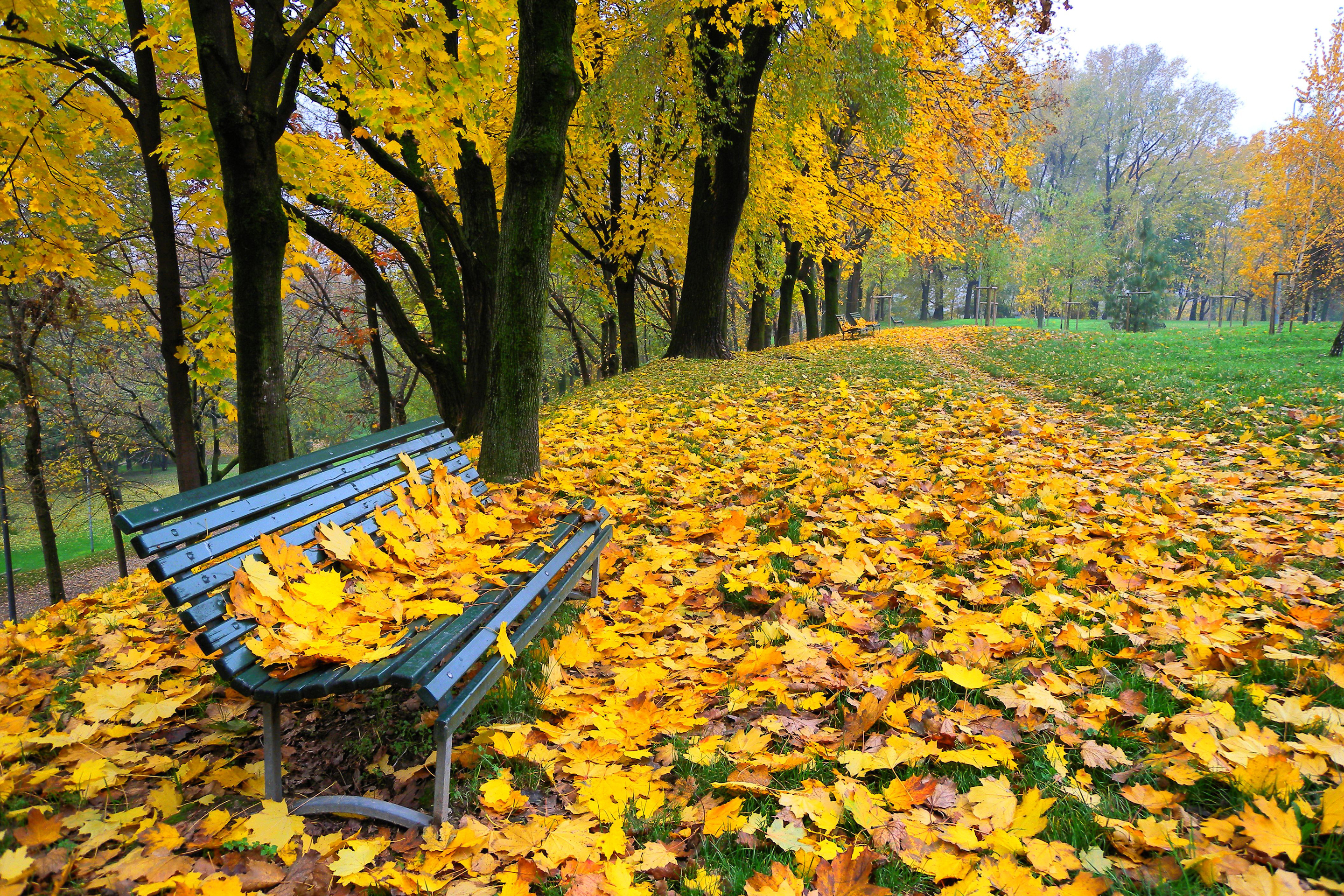 2880x1920 Autumn Wallpapers - Wallpaper Cave