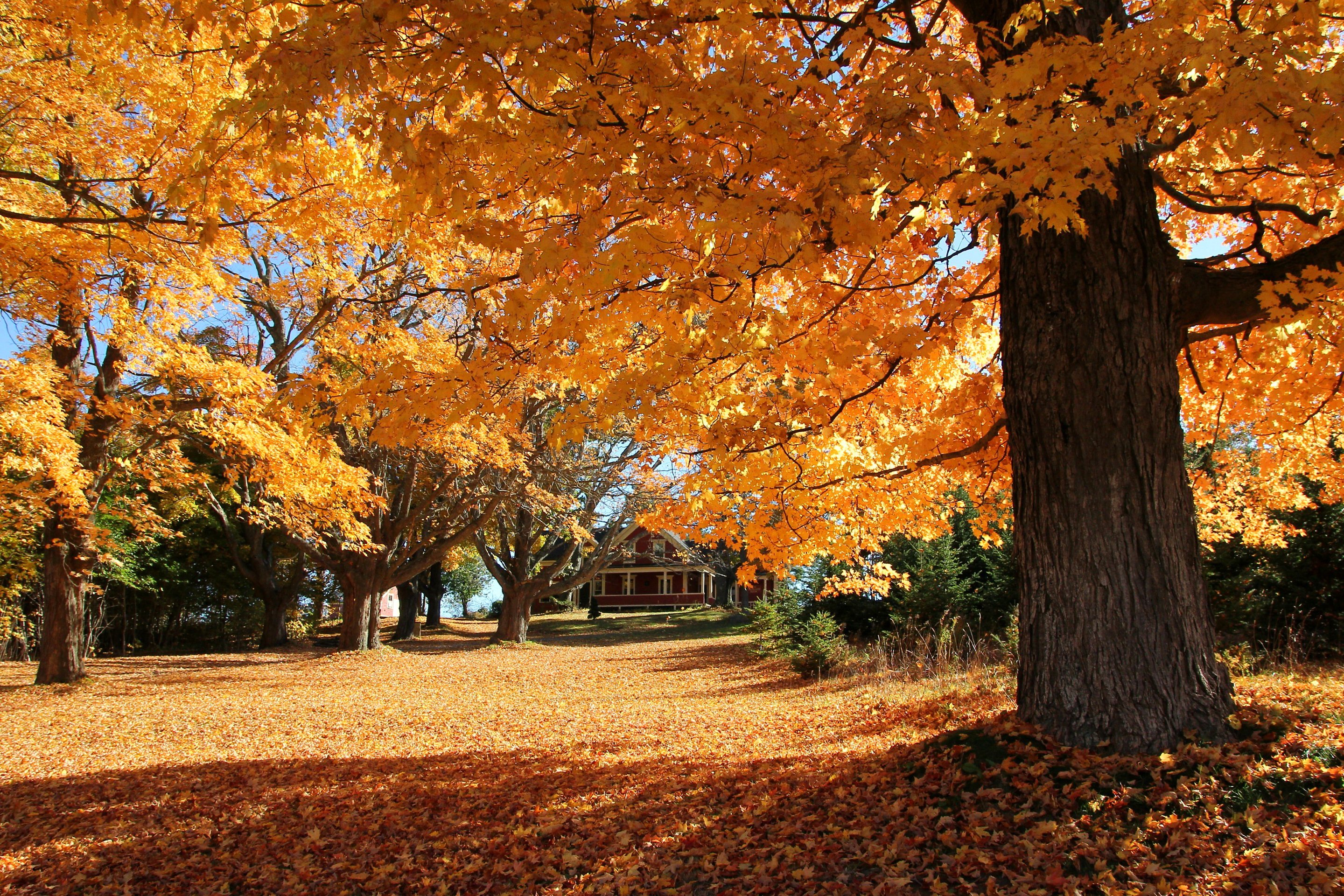 2880x1920 Autumn Wallpapers - Wallpaper Cave