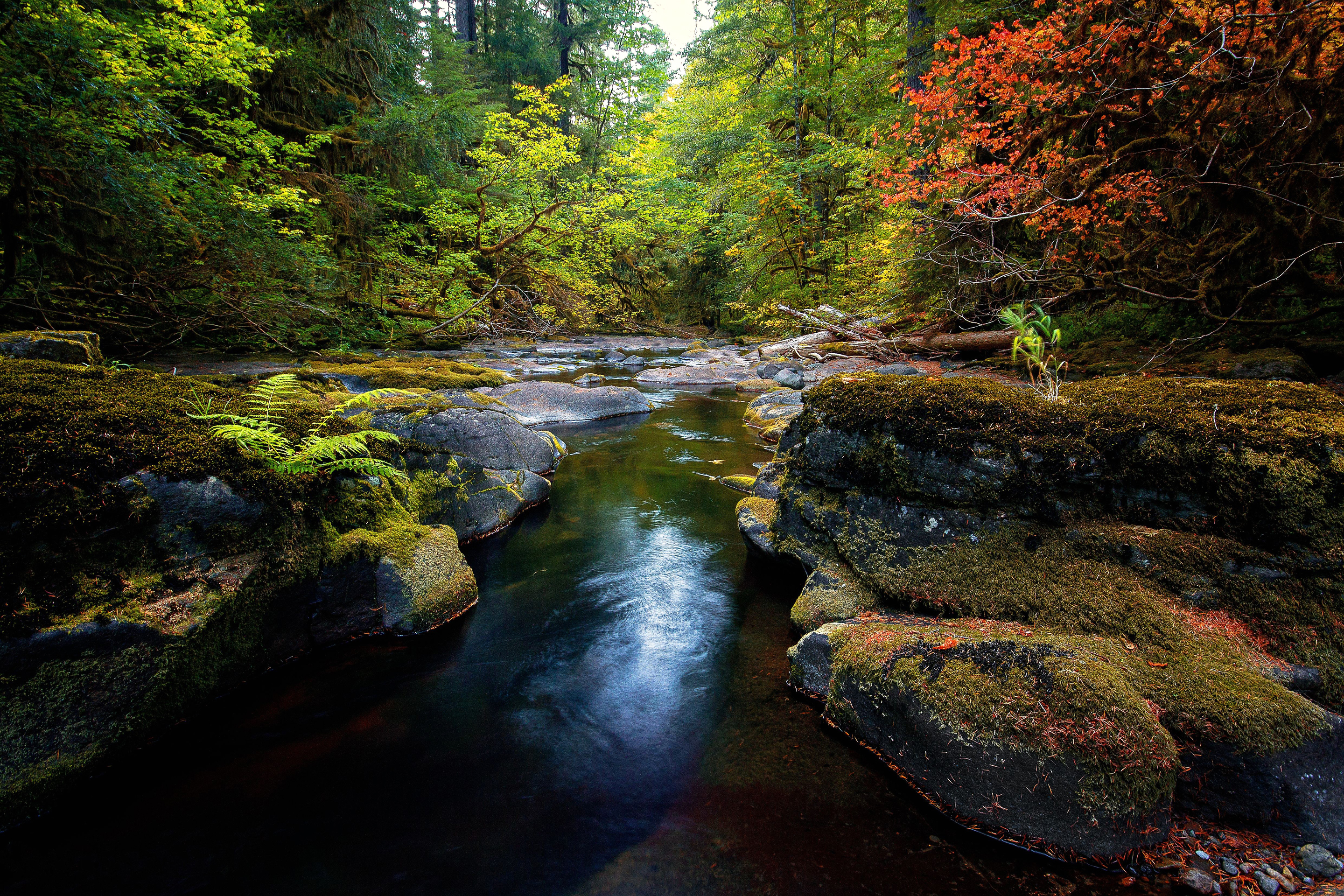 2880x1920 Autumn Wallpapers - Wallpaper Cave