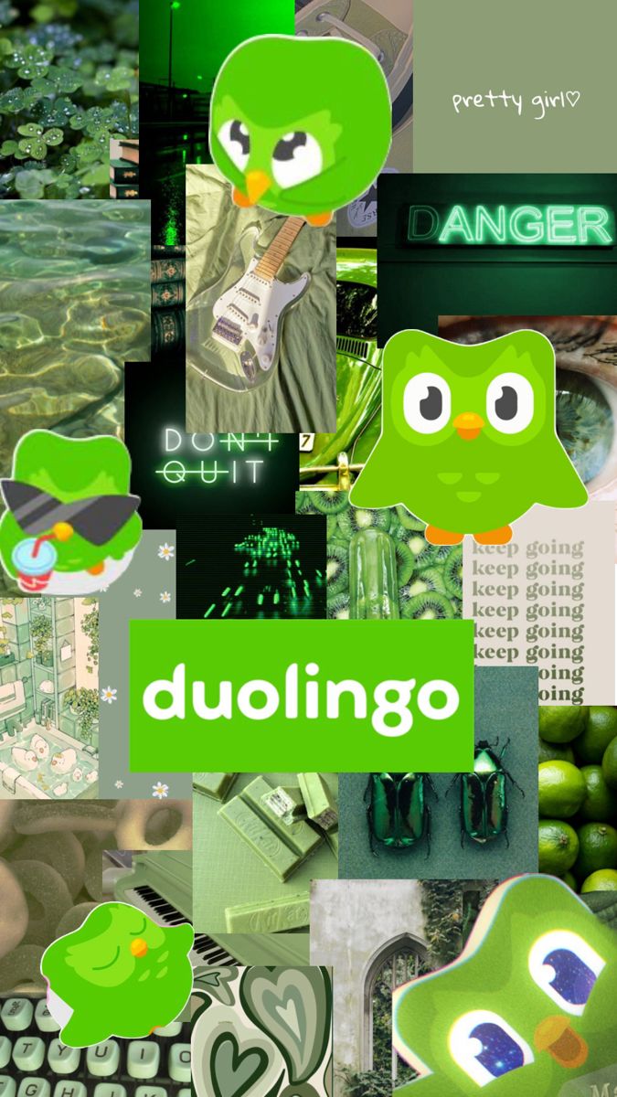 Duolingo Mad Wallpapers - Wallpaper Cave