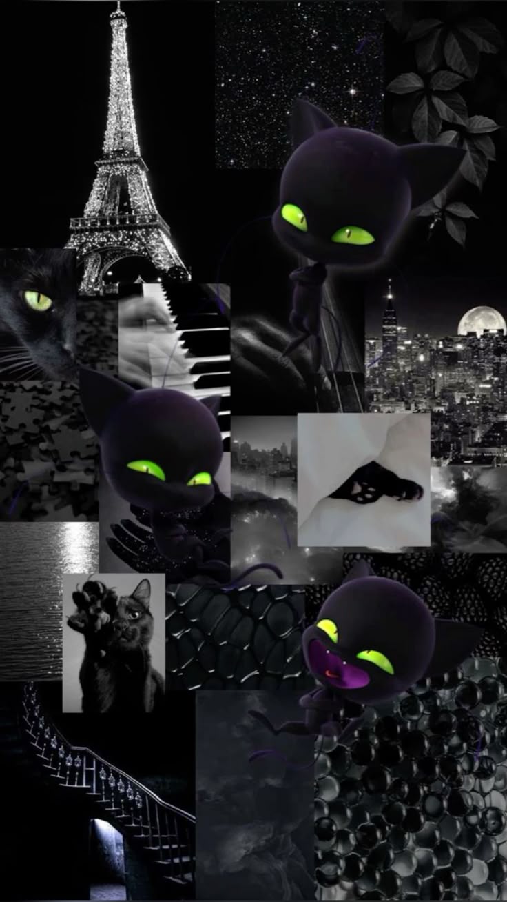 Plagg Ladybug Wallpapers - Wallpaper Cave