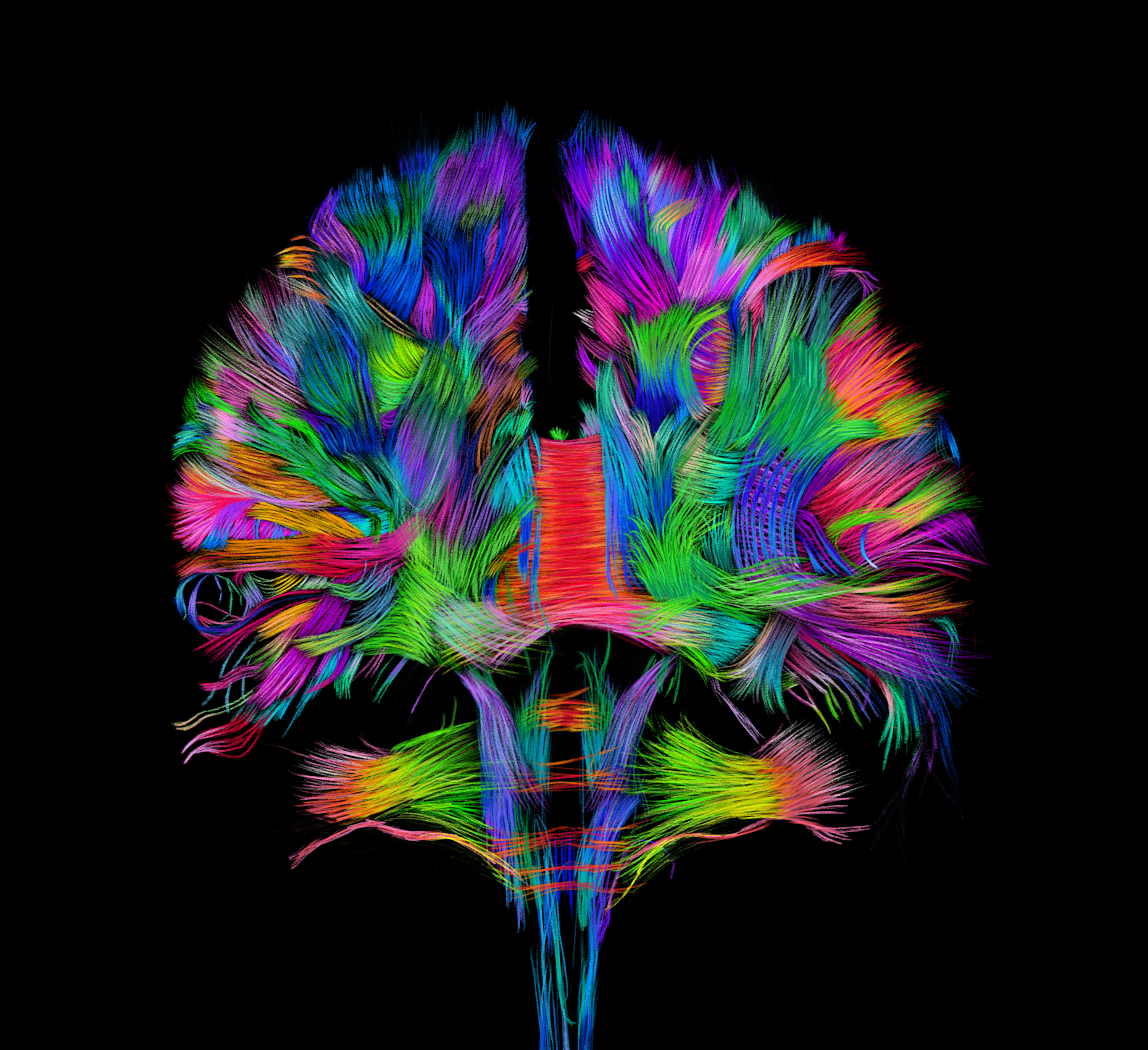 Aesthetic Neurology Collages Wallpapers - Wallpaper Cave