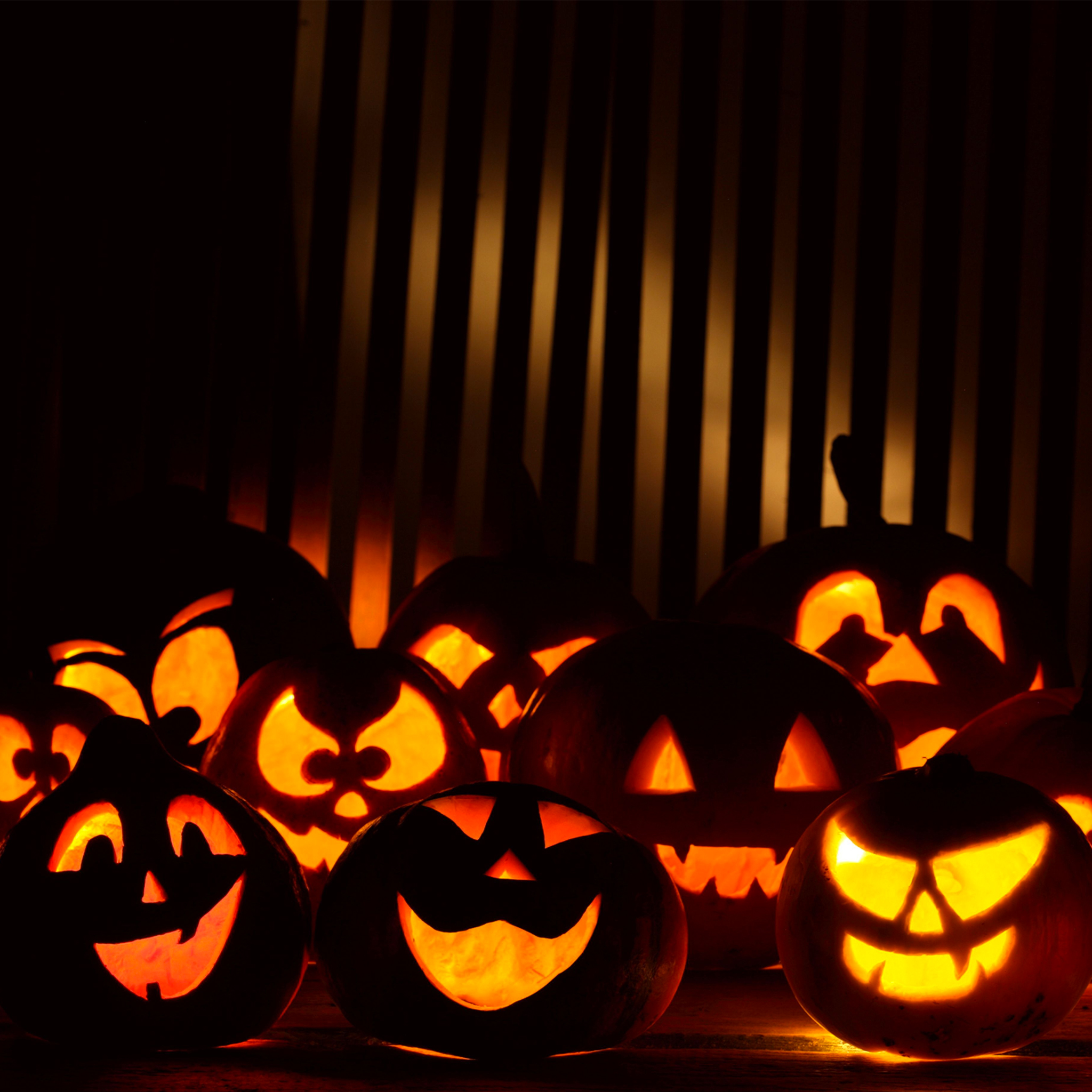 Crazy Pumpkins Wallpapers - Wallpaper Cave