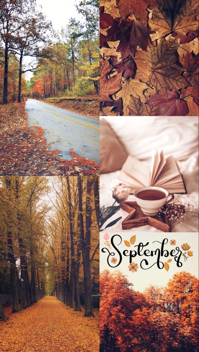 Cute September Wallpapers - Wallpaper Cave