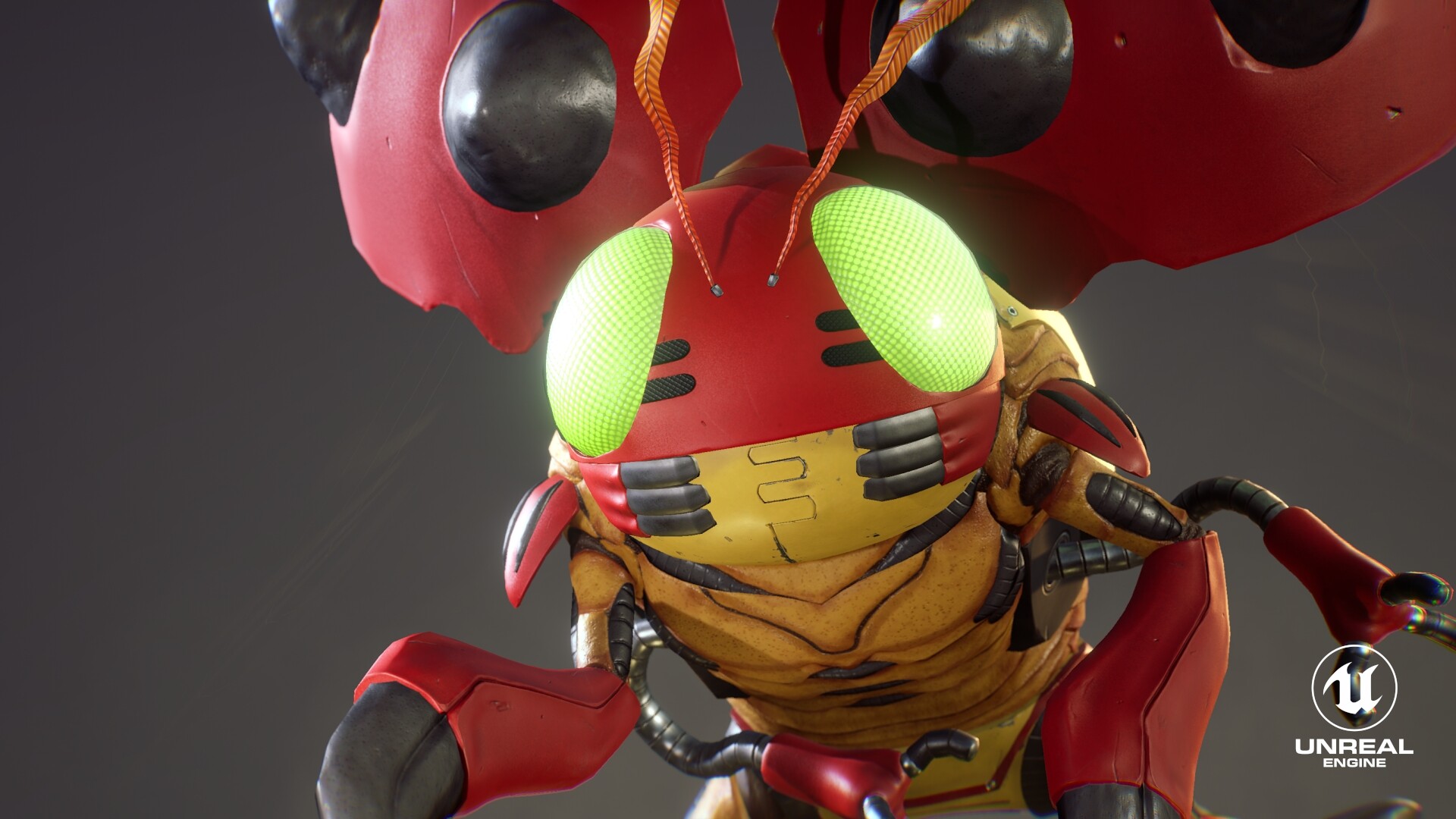 Tentomon Wallpapers - Wallpaper Cave