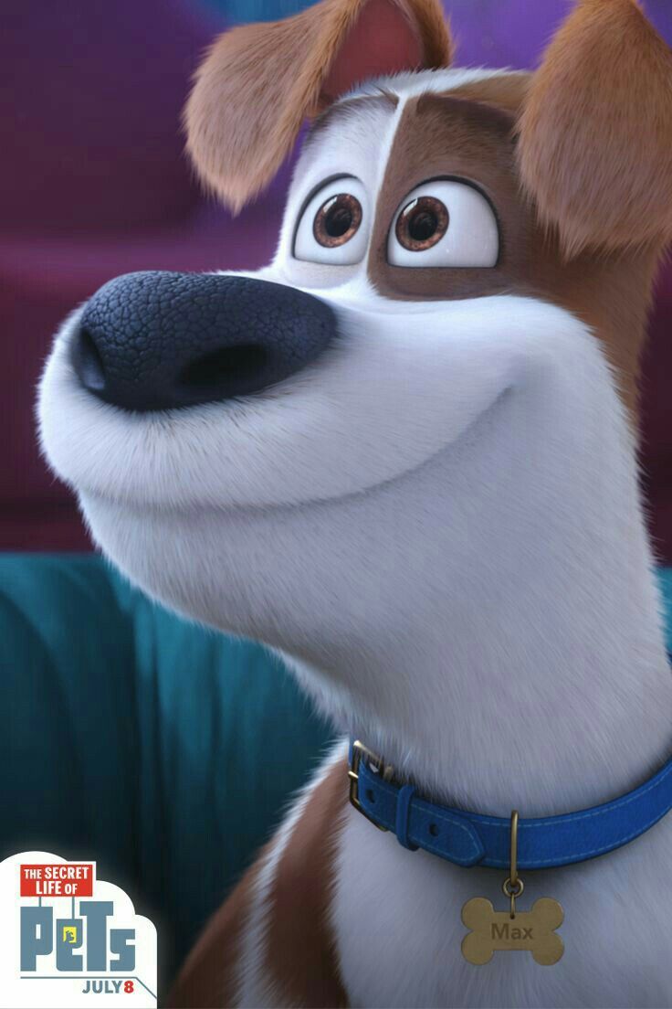 Max Pets Movie Wallpapers - Wallpaper Cave