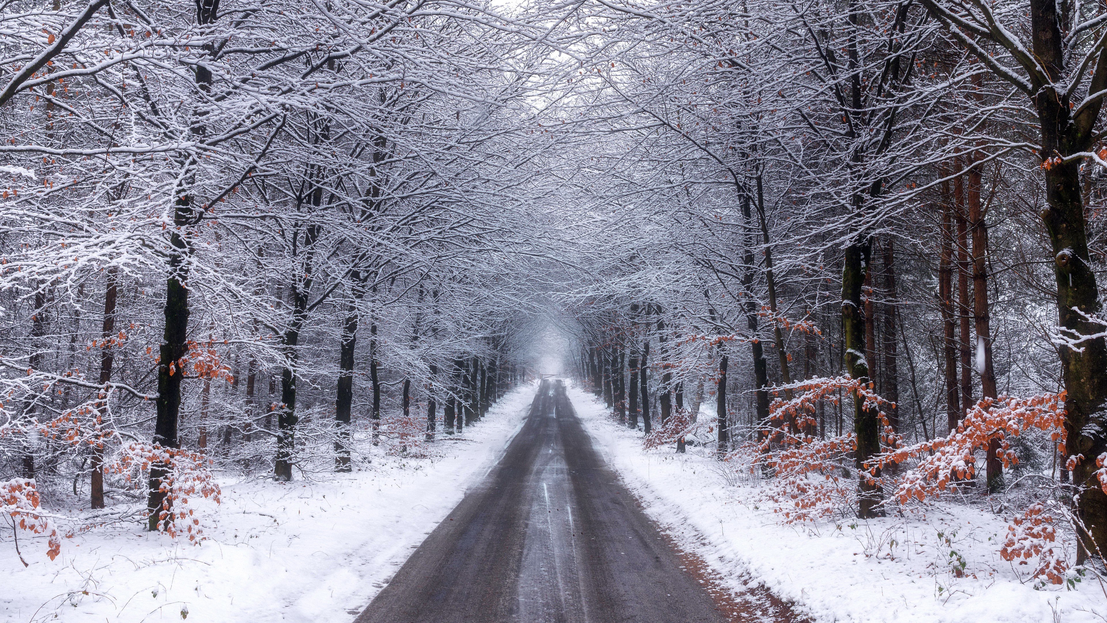 Winter Road 8k Wallpapers - Wallpaper Cave