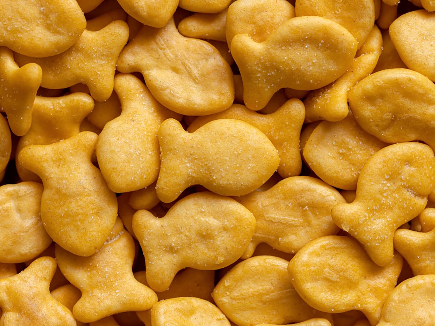 Goldfish Snack Wallpapers - Wallpaper Cave