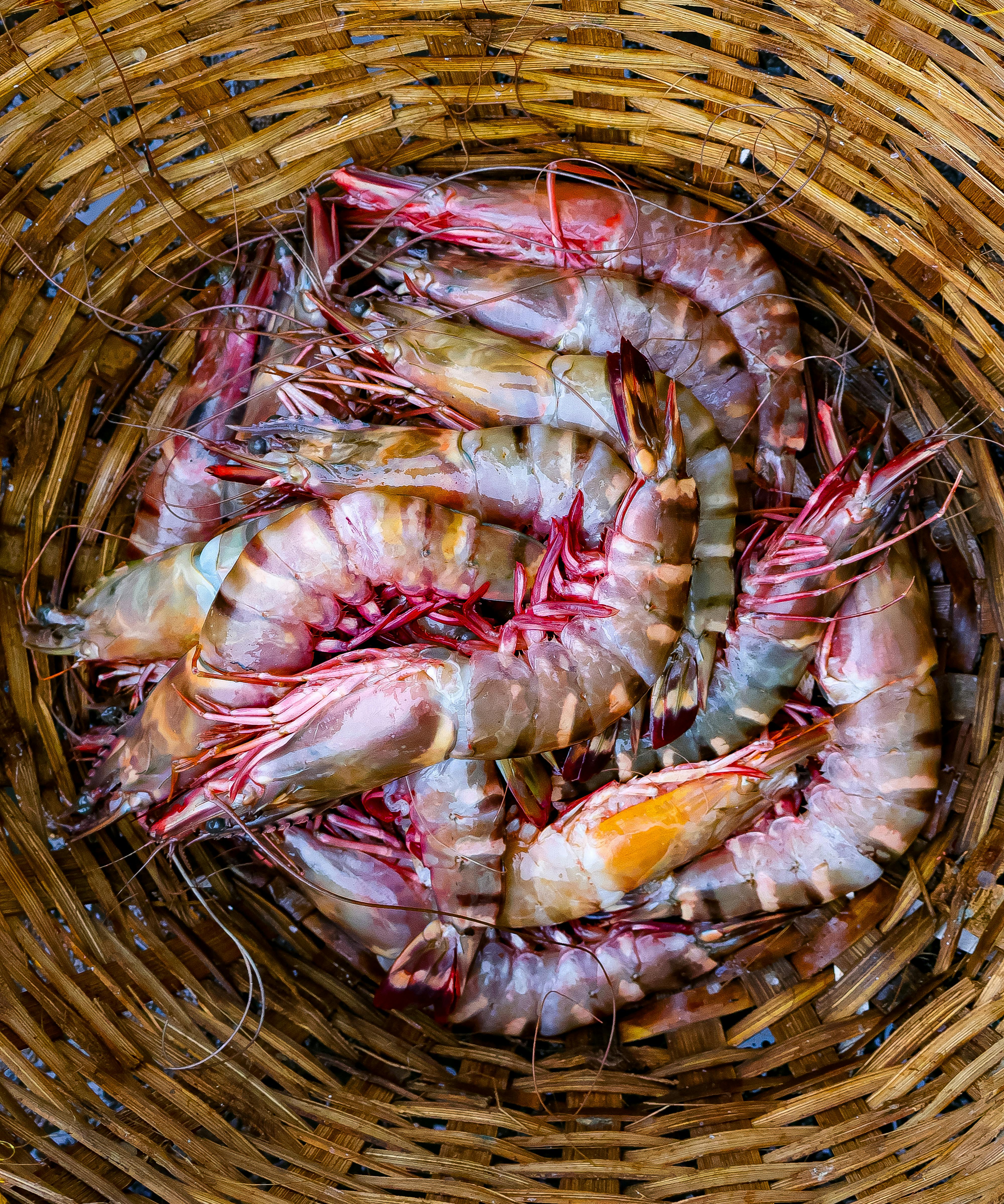 Prawns Wallpapers - Wallpaper Cave