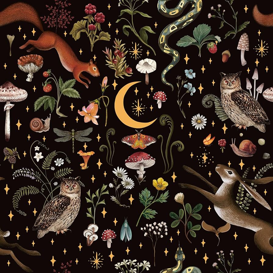 Owl Dark Wallpapers - Wallpaper Cave