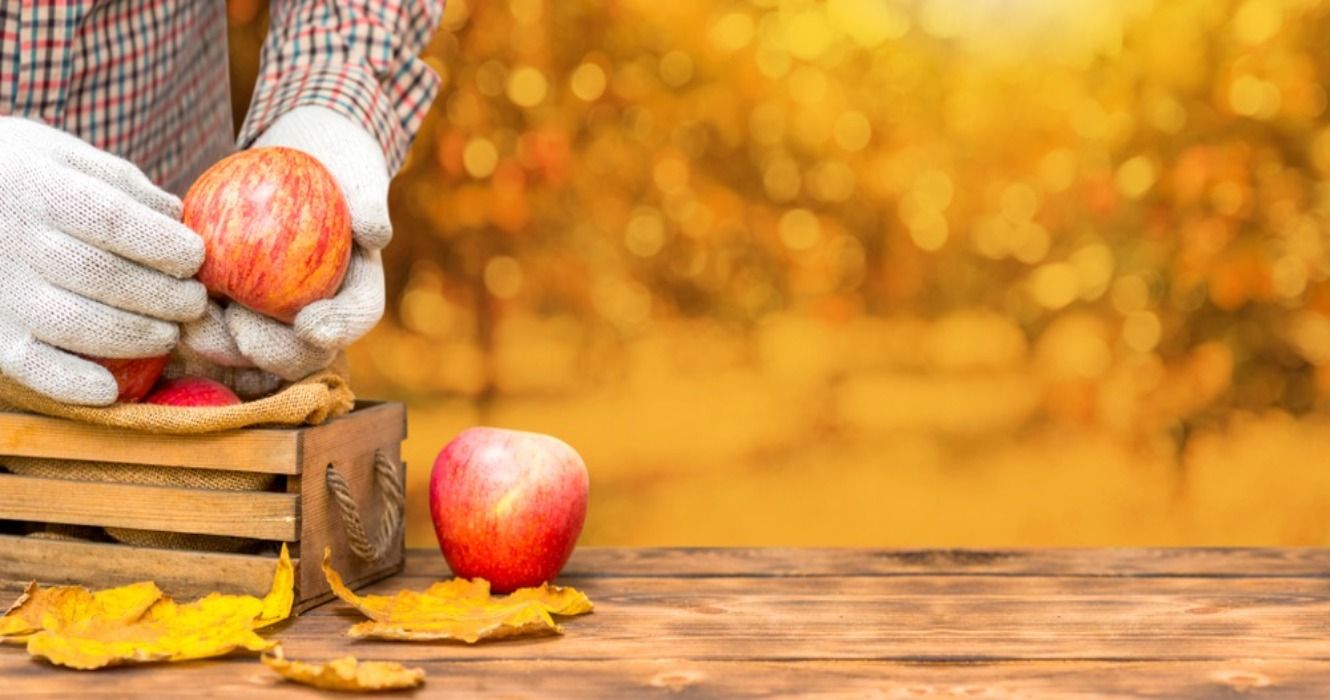 Fall Apples Wallpapers - Wallpaper Cave