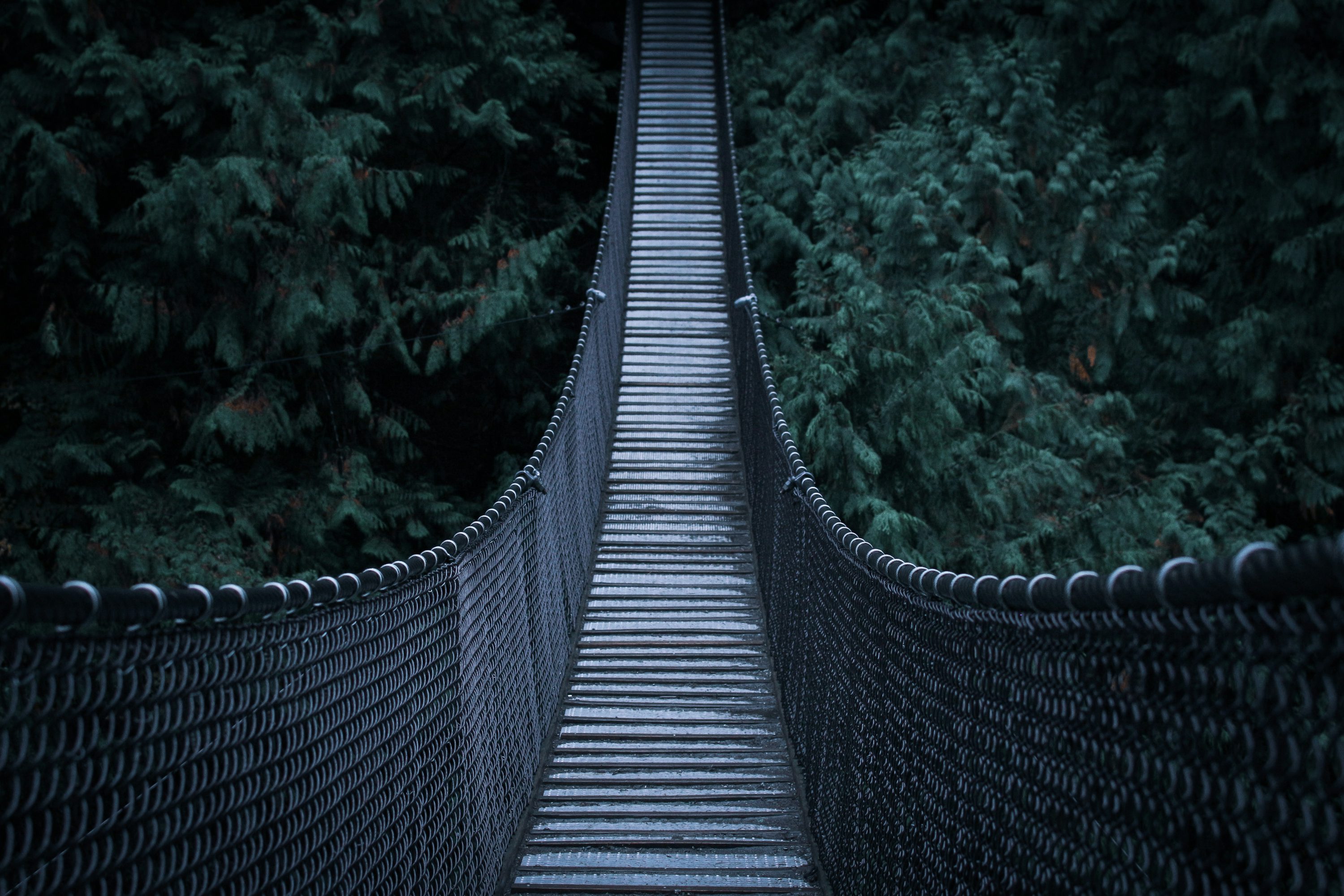 Hanging Bridge Wallpapers - Wallpaper Cave