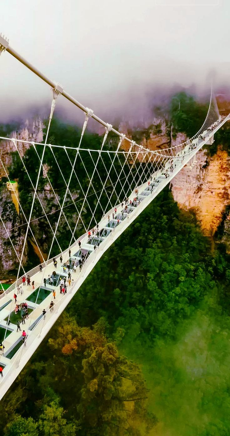 Hanging Bridge Wallpapers - Wallpaper Cave