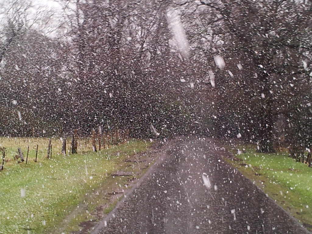 Snow Flurry Wallpapers - Wallpaper Cave