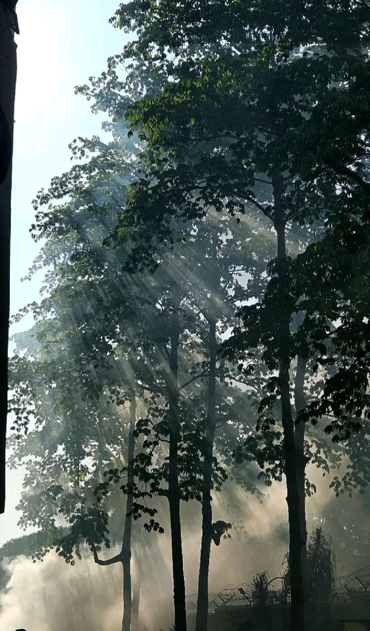 Tyndall Effect Wallpapers - Wallpaper Cave