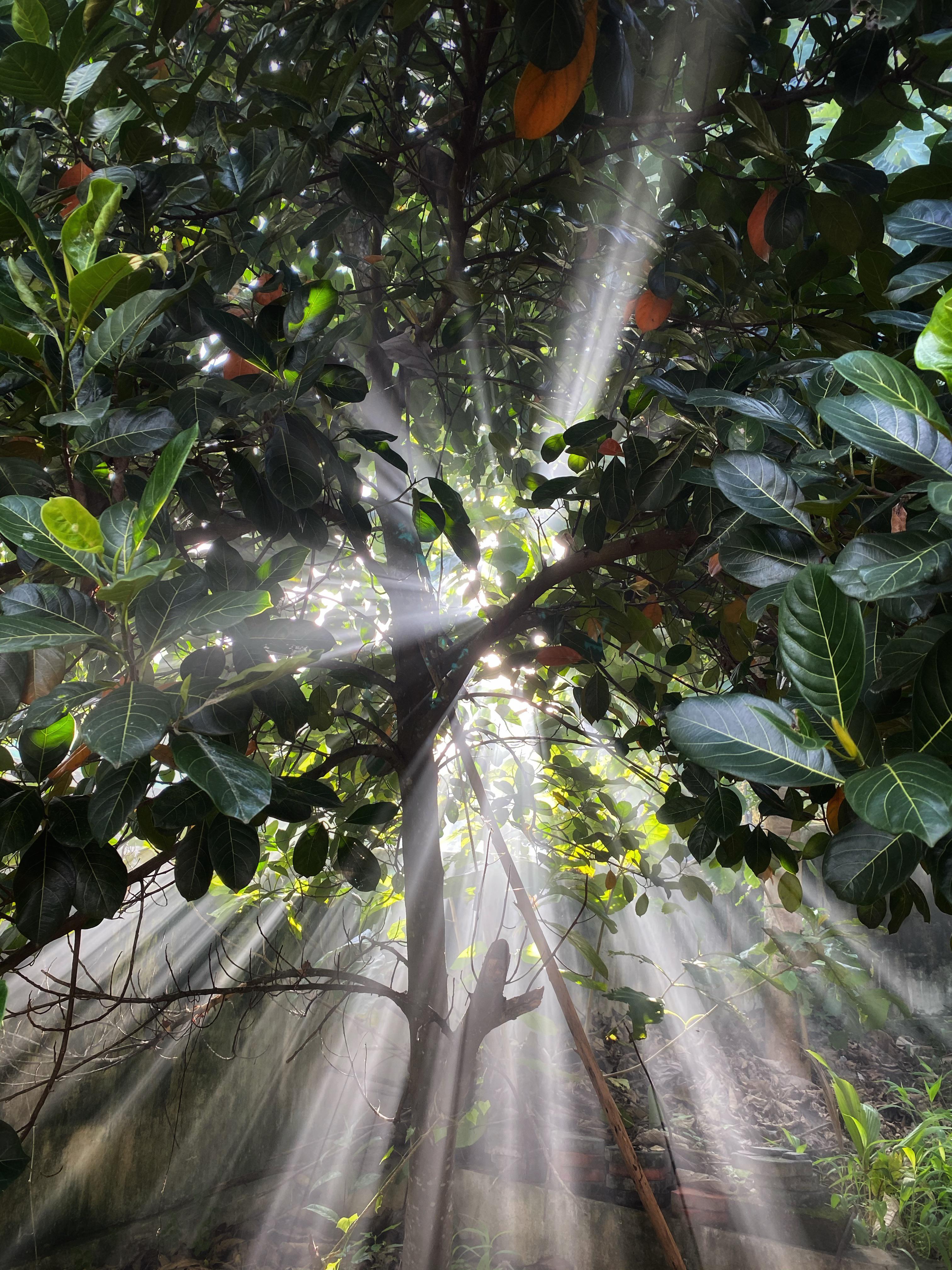 Tyndall Effect Wallpapers - Wallpaper Cave