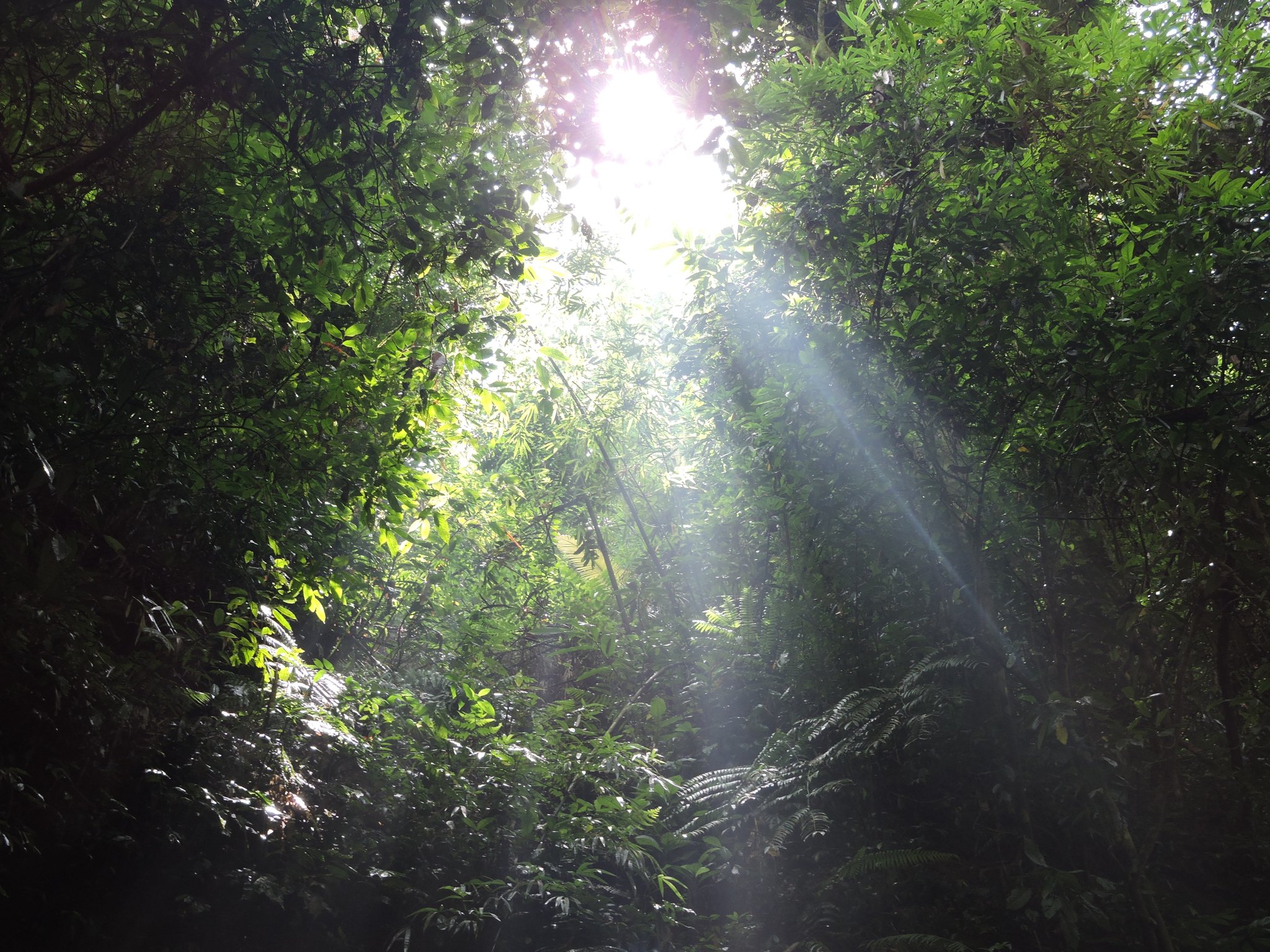 Tyndall Effect Wallpapers - Wallpaper Cave